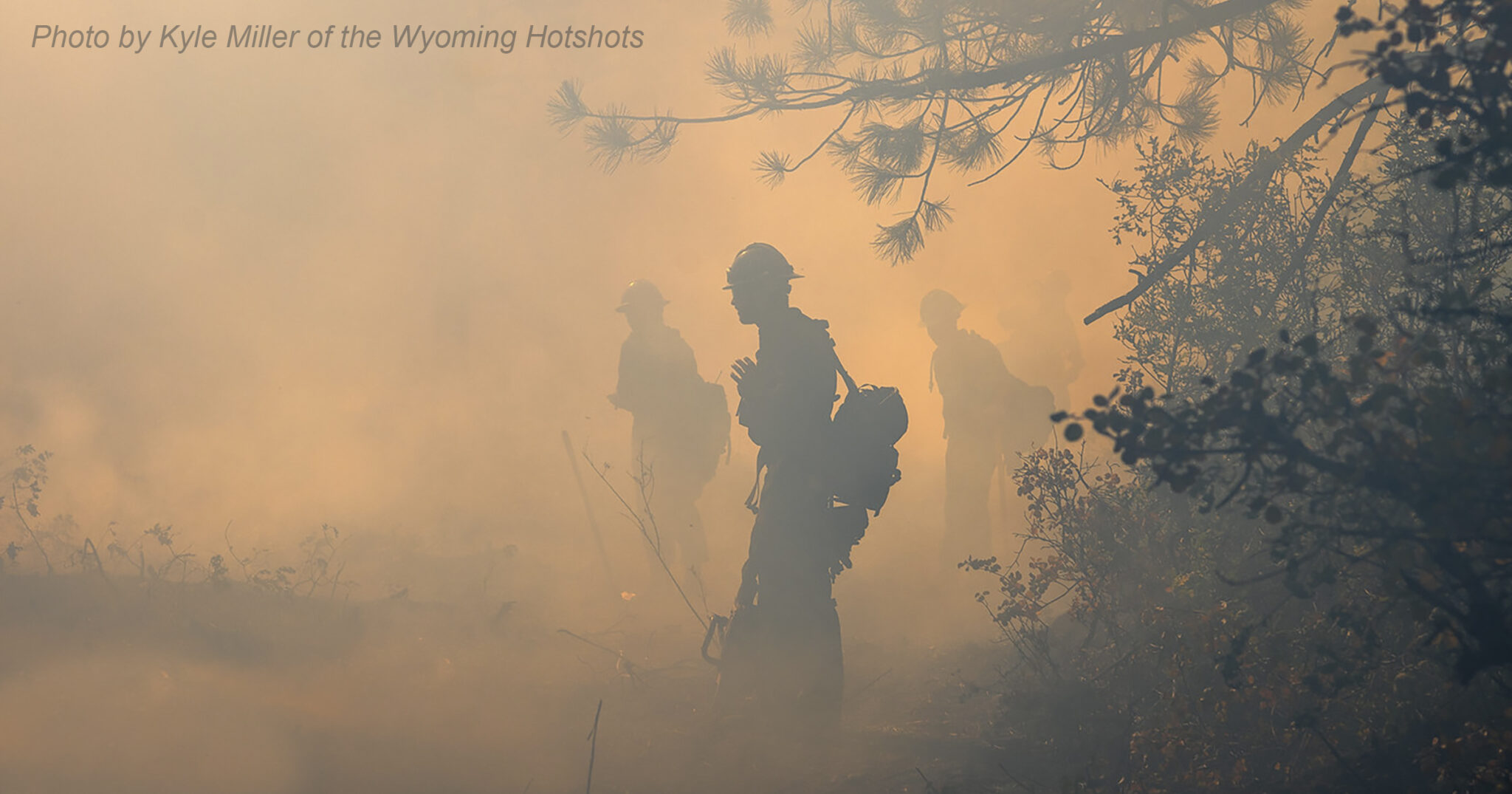 Wildland Firefighters Honor – BioTriad Environmental, Inc.